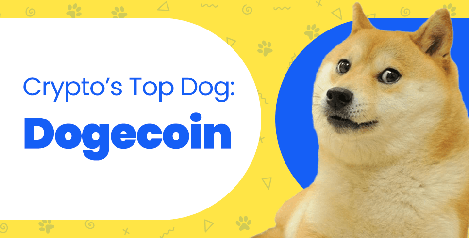 Crypto's Top Dog: Dogecoin | What is Dogecoin | BitDelta